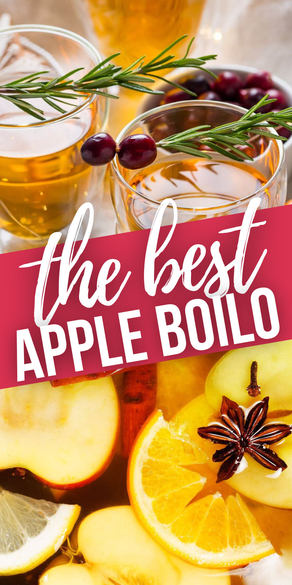 Apple Boilo {Everclear Recipe} | It Is a Keeper