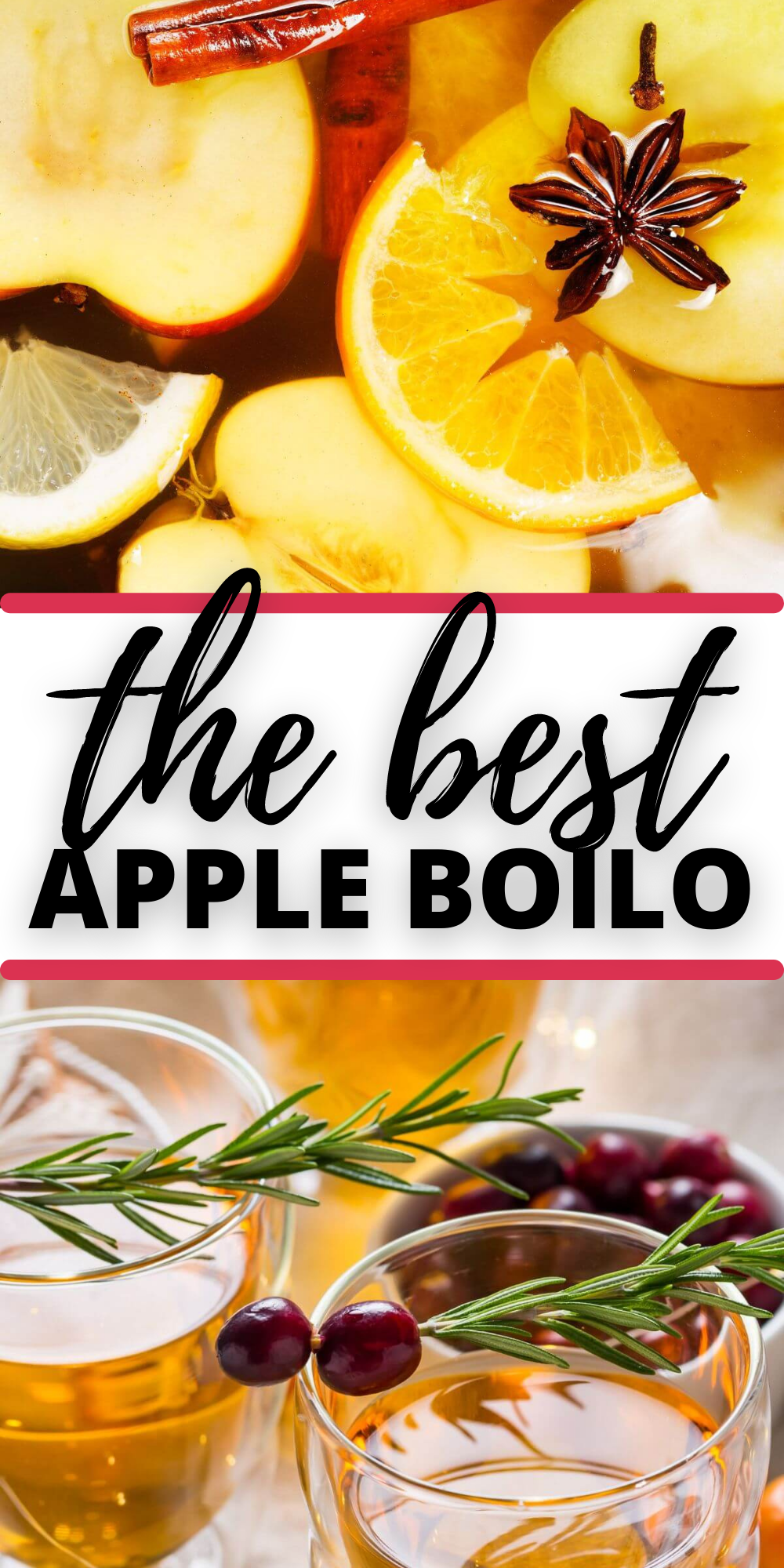 Apple Boilo {Everclear Recipe} | It Is a Keeper