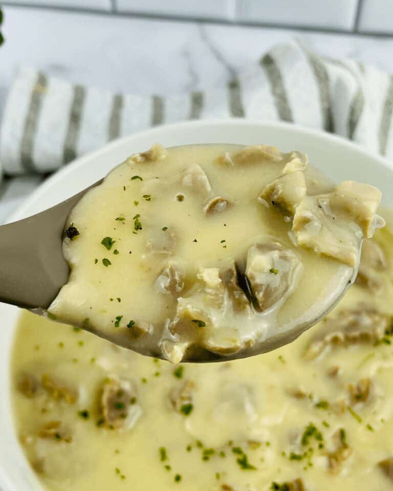 Giblet and Turkey Neck Gravy - It Is a Keeper