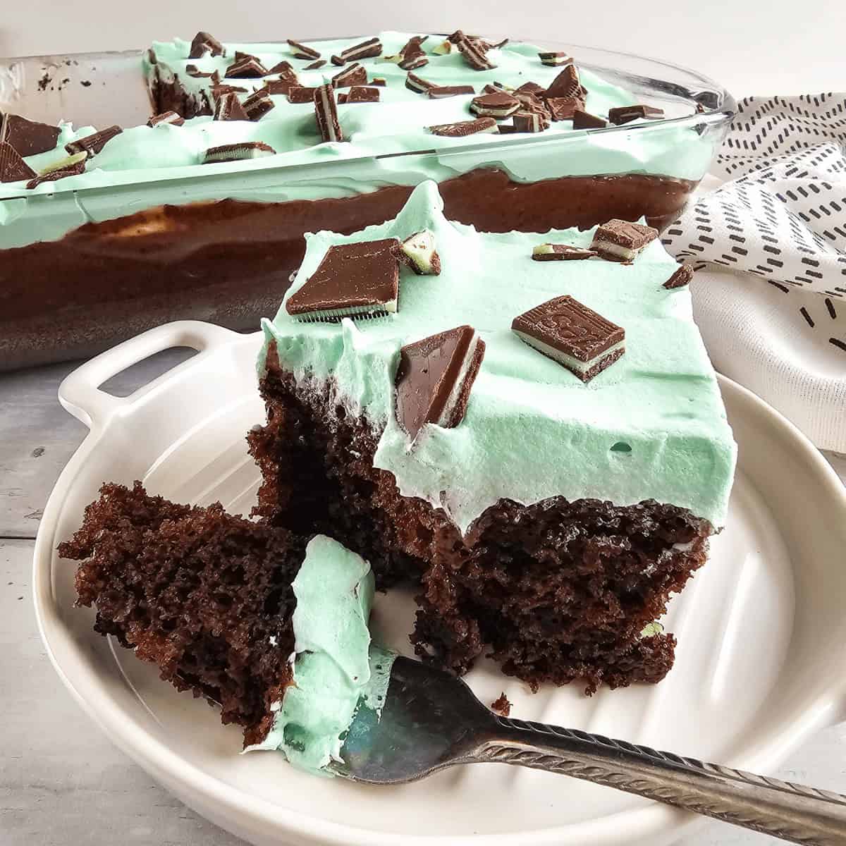 Chocolate Mint Cake - It Is a Keeper