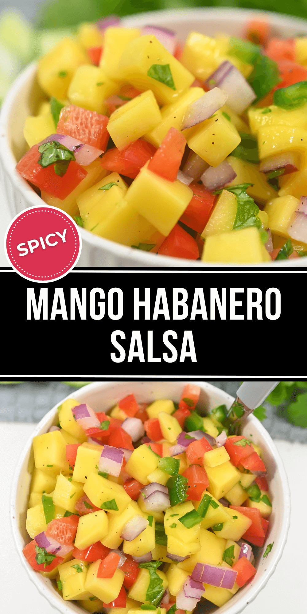 Mango Habanero Salsa - It Is a Keeper