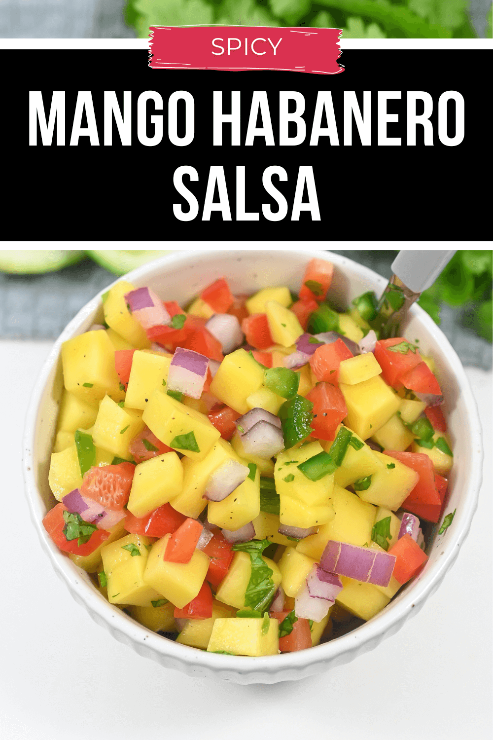 Mango Habanero Salsa - It Is a Keeper