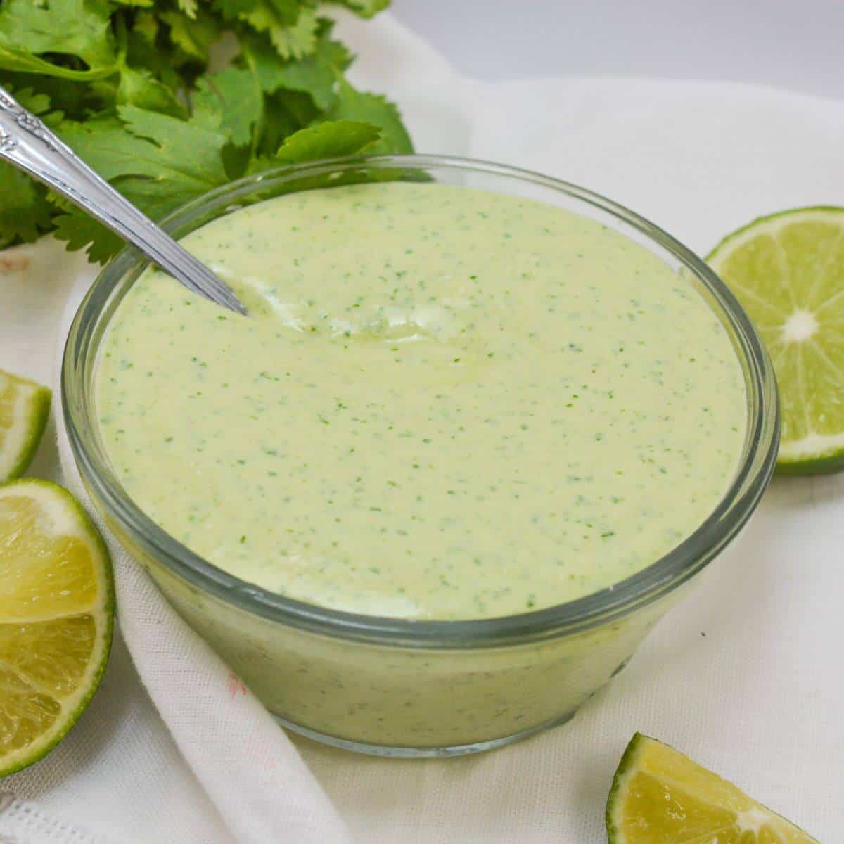 Cilantro Lime Sauce - It Is a Keeper