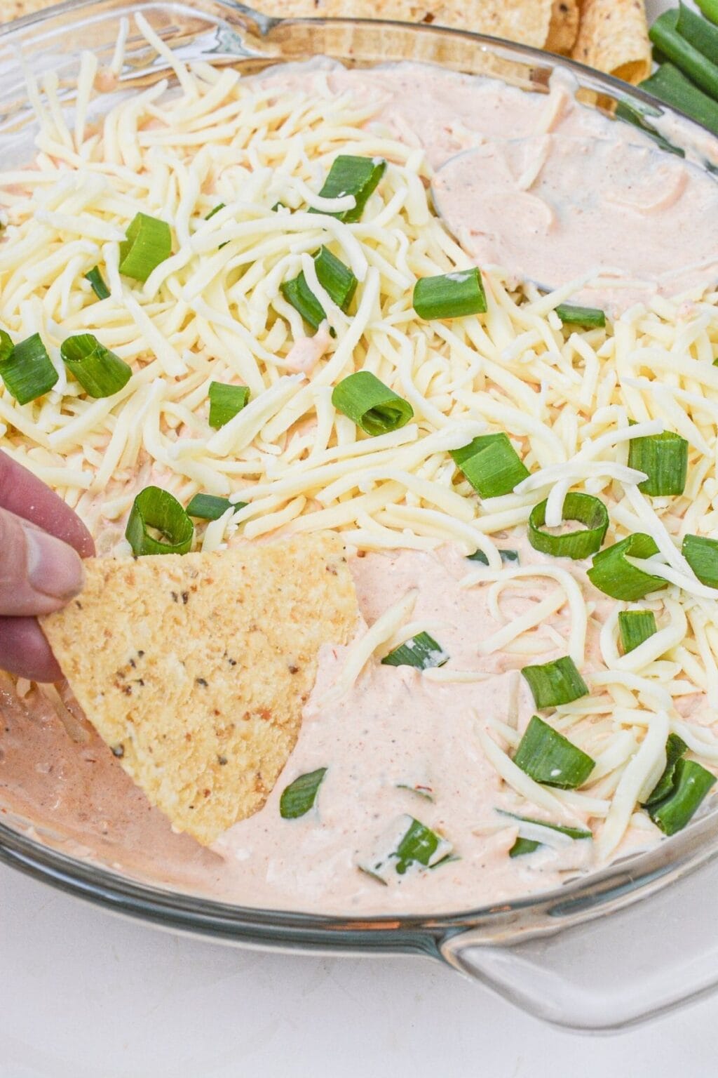 Salsa and Cream Cheese Dip - It Is a Keeper