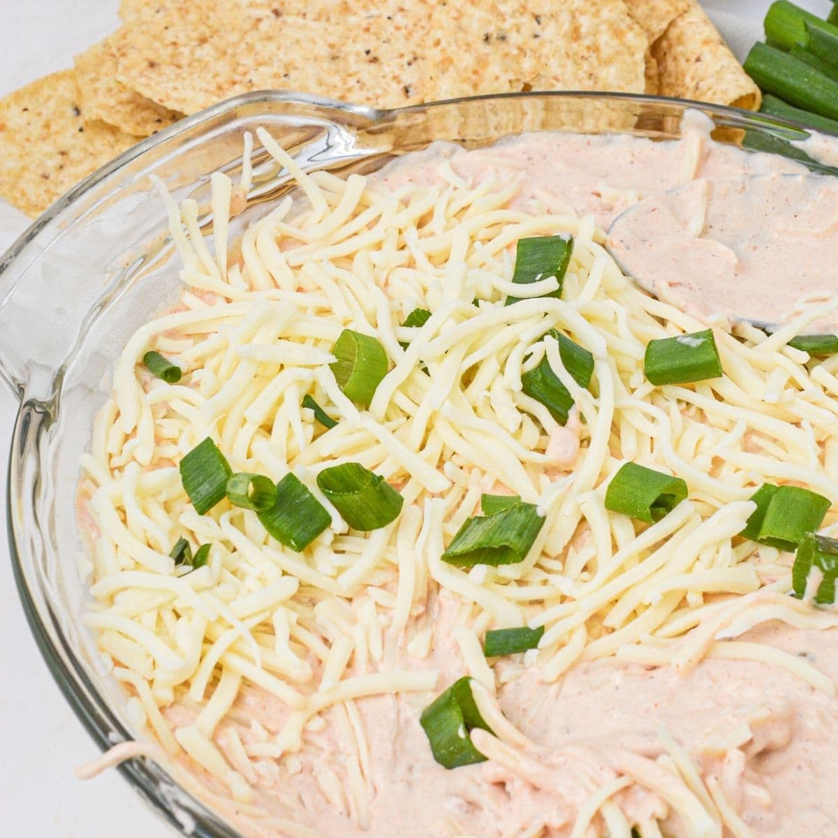 Salsa and Cream Cheese Dip - It Is a Keeper